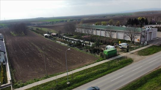 Zemljište u gradjevinskom području, Indjija, HITNO