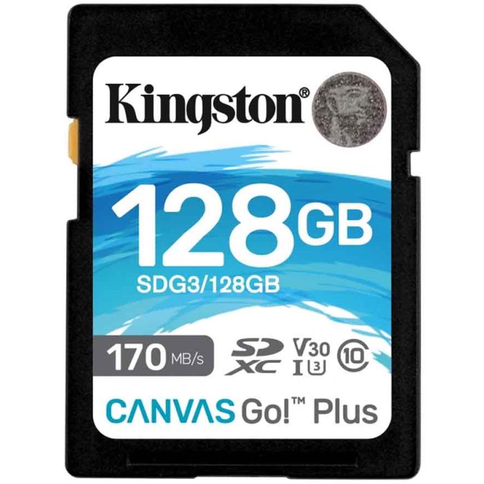 Memorijska kartica Kingston 128GB SDG3/128GB