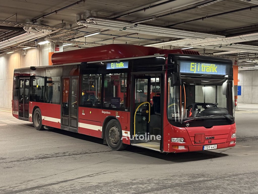 MAN A21 CNG EEV (10 BUSES) gradski autobus