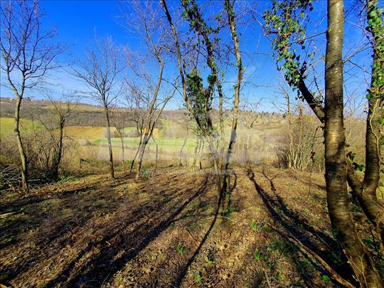 Plac Fruška gora Čortanovci 67 ari, gradjevinsko