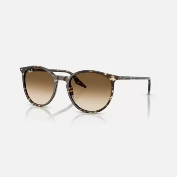 Ray Ban RB2204-14351 51