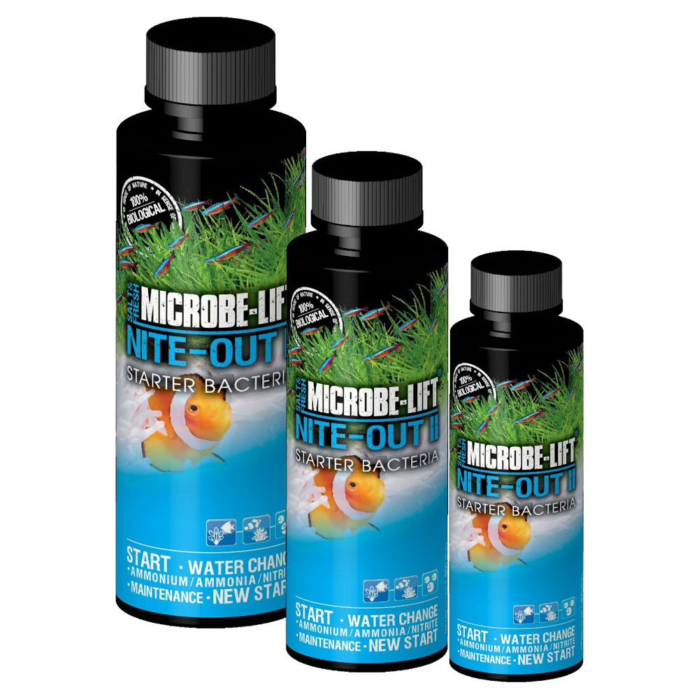 Arka nite-out II - starter bacteria