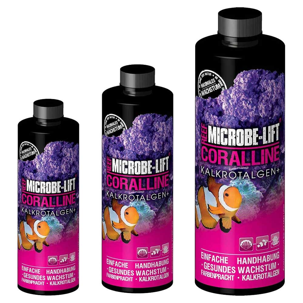 Arka Coralline