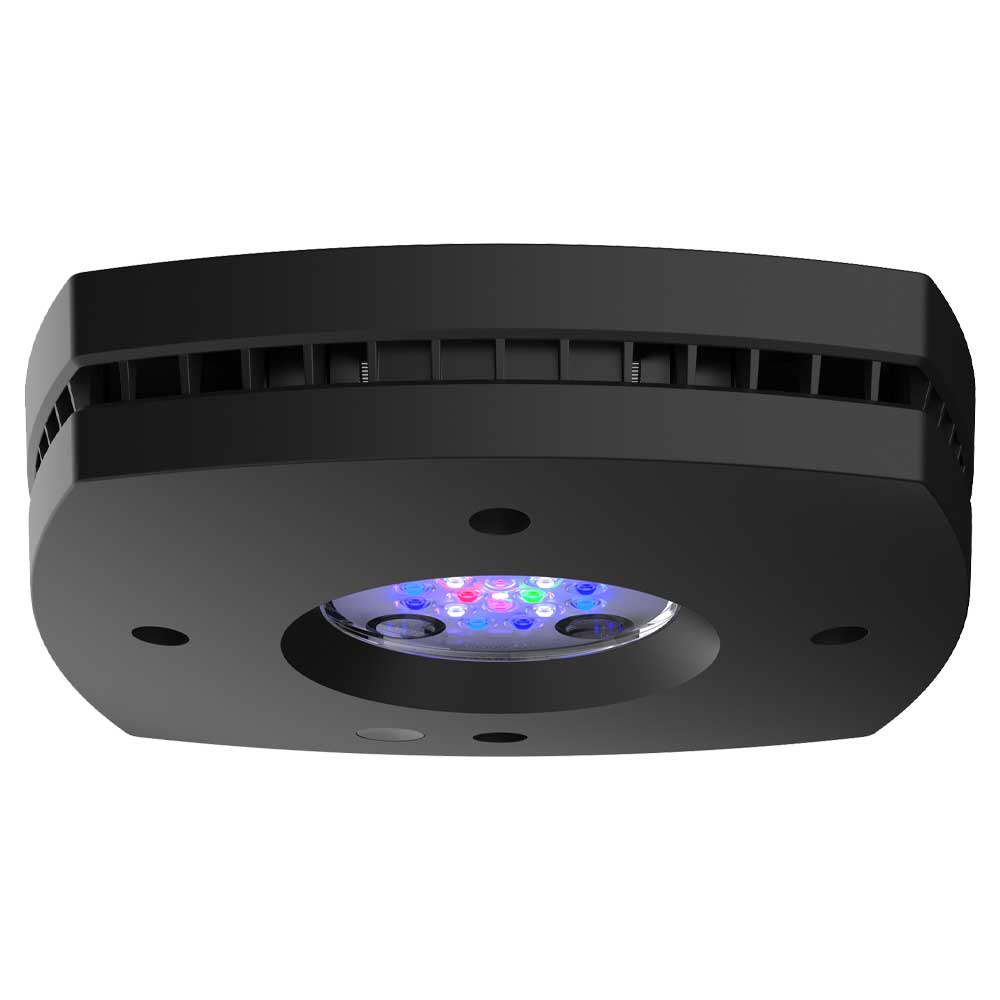 Ecotech prime16 hd black