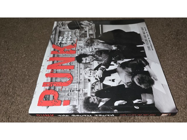 Hugh Fielder and Mike Gent - Punk, The brutal truth