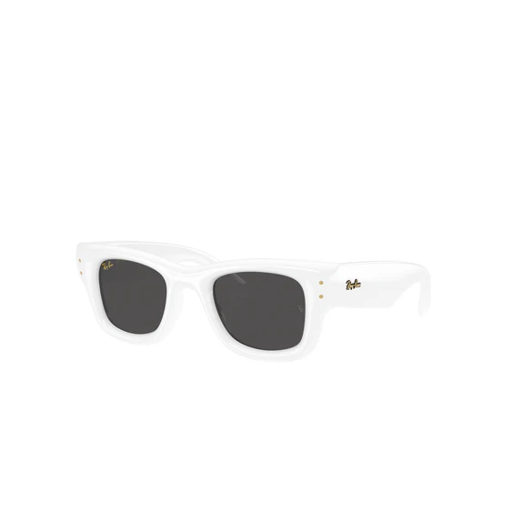 RAY-BAN x A$AP Rocky Wayfarer Puffer Sunčane naočare 0RB4940 67187 47