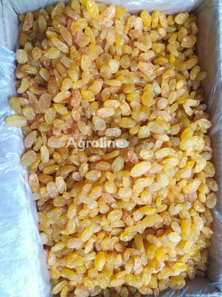 Zlatno suvo grozhђe
