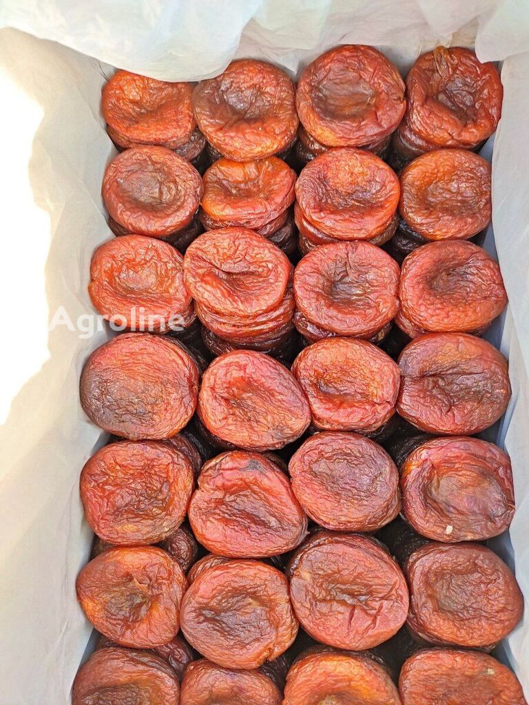 Chokoladne sushene kaјsiјe