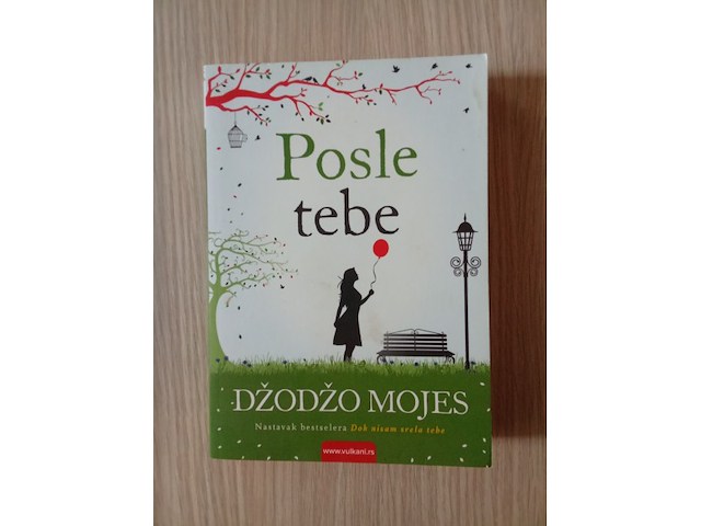Džodžo Mojes - POSLE TEBE