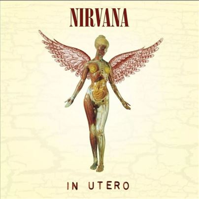 Nirvana in Utero Poster / Tapiserija 90x90