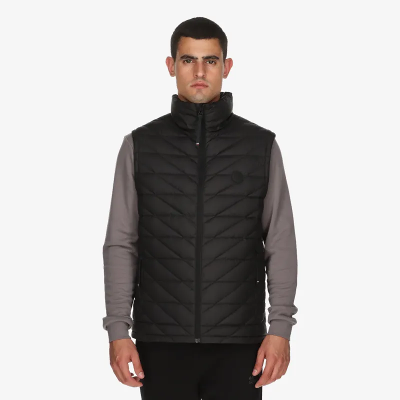 Mont Vest