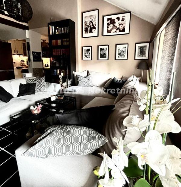 Olivere Marković, Četvorosoban stan za izdavanje, 123m2, 1.350€