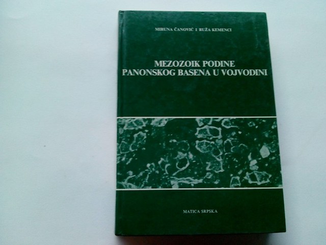 Mezozoik podine panonskog basena u Vojvodini, MS ns