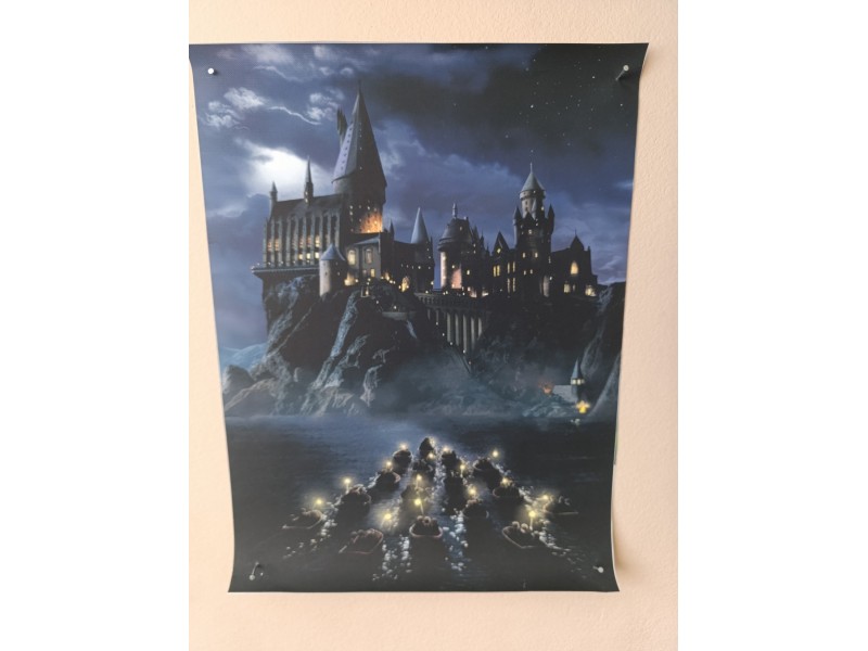 Arriving at hogwarts Harry Potter poster 30x40