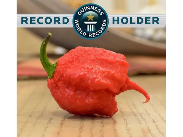 Carolina Reaper (15 semenki) najljuća čili na svetu