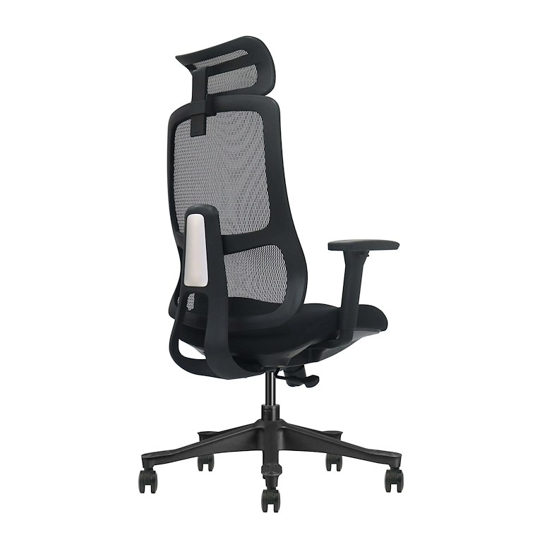 UGD Ultra Ergonomska kancelarijska stolica Task Master
