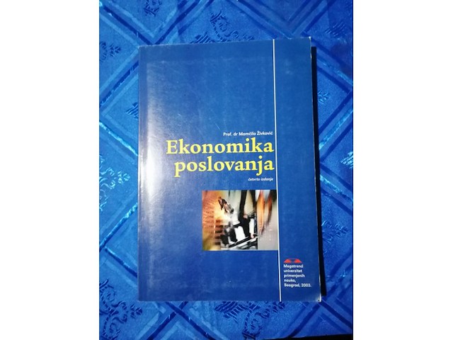 Momčilo Živković ➡️ Ekonomika poslovanja