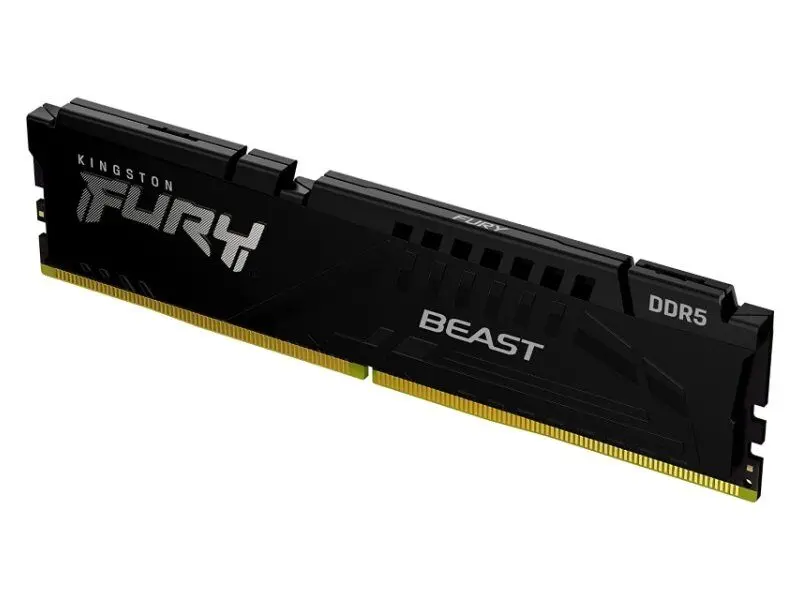 Kingston RAM Memorija FURY Beast Black EXPO KF556C36BBE2-32, DIMM DDR5, 32GB, 5600MT/s