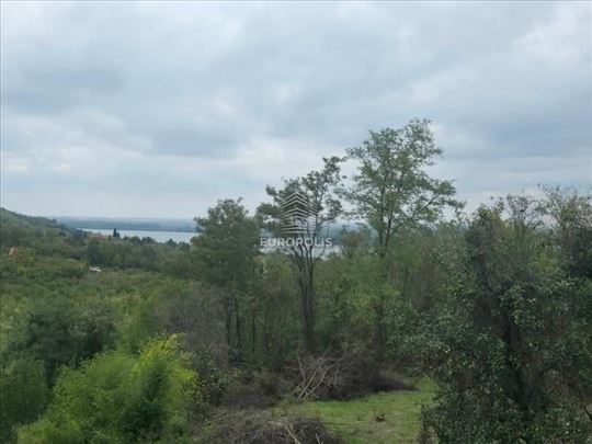 Pogled na Dunav, između Pandurica i Plavinaca ID#8