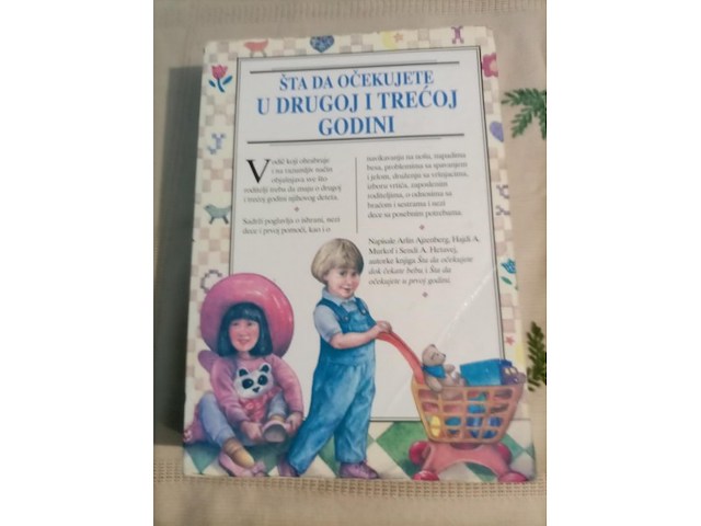 ŠTA DA OČEKUJETE U DRUGOJ I TREĆOJ GODINI