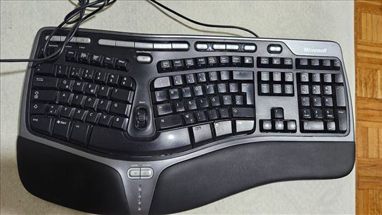 Microsoft Natural Ergonomic Keyboard 4000 v1.0