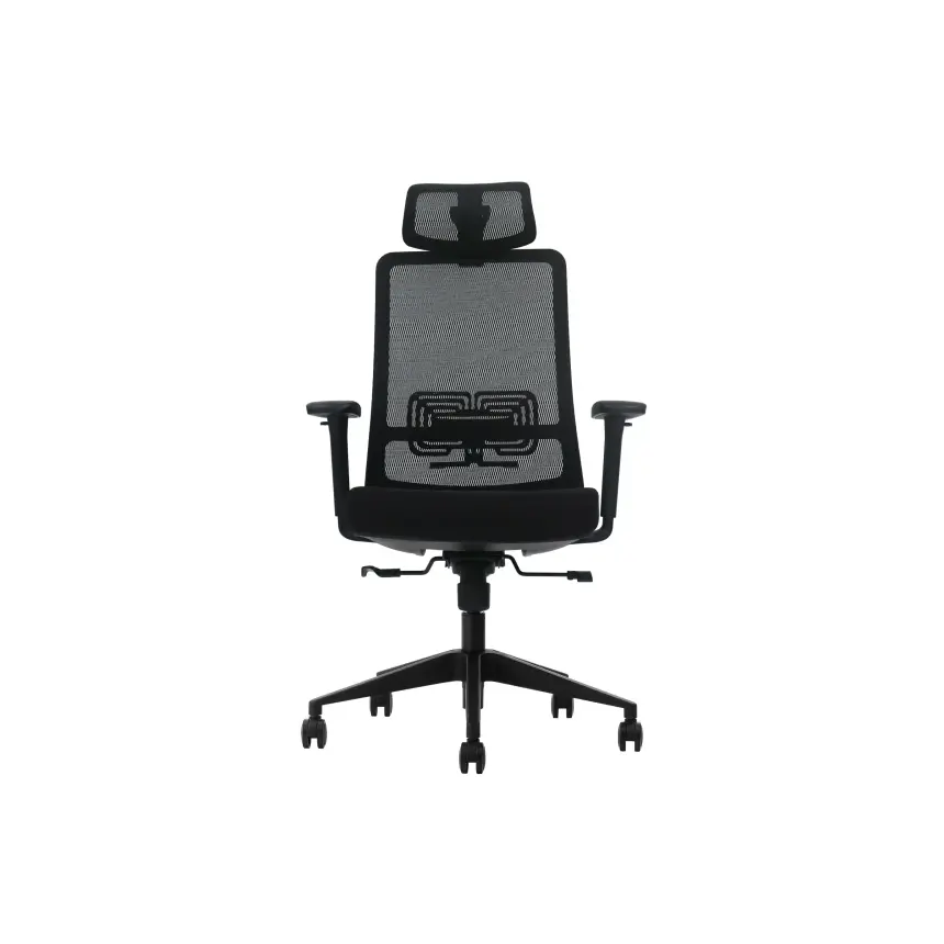 Ergonomska kancelarijska stolica UGD LumbarMax