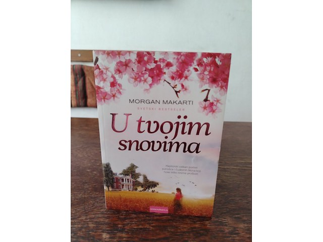 Morgan Makarti - U tvojim snovima
