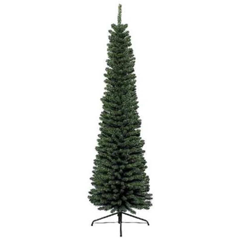 Jelka Pencil Pine, visina 300cm (68.0064)ID: EK000570868