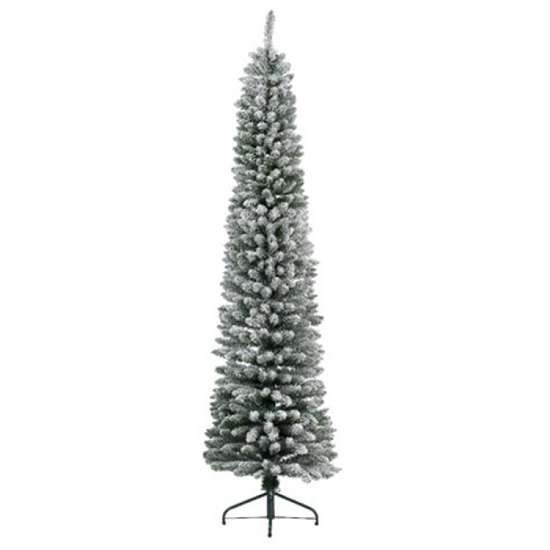 Jelka Pencil pine snowy, visina 120cm (68.4019)ID: EK000570876