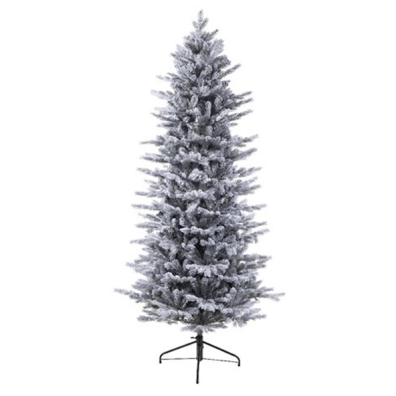 Jelka Grandis fir frosted, visina 240cm (68.1493)ID: EK000483228