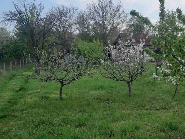 Prodajem plac u Petrovaradinu