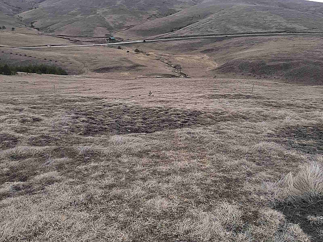 Plac 2 ha Zlatibor Srbija