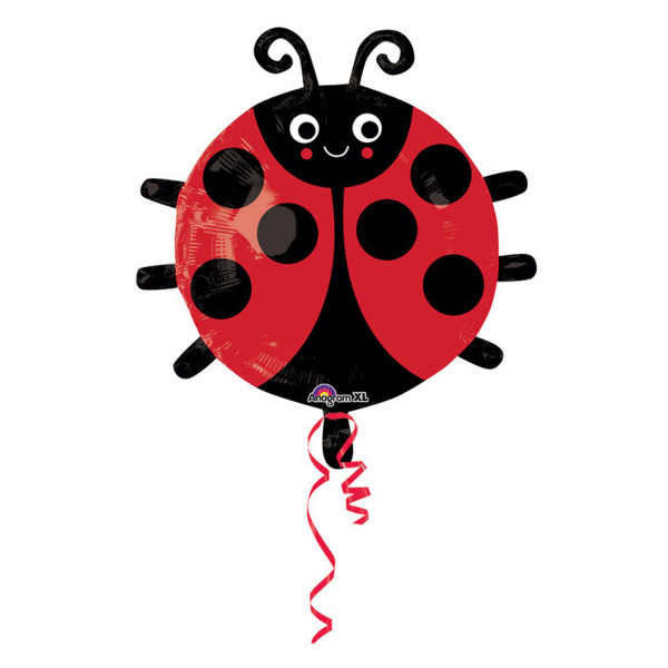 3244975
Junior Shape Happy Lady Bug