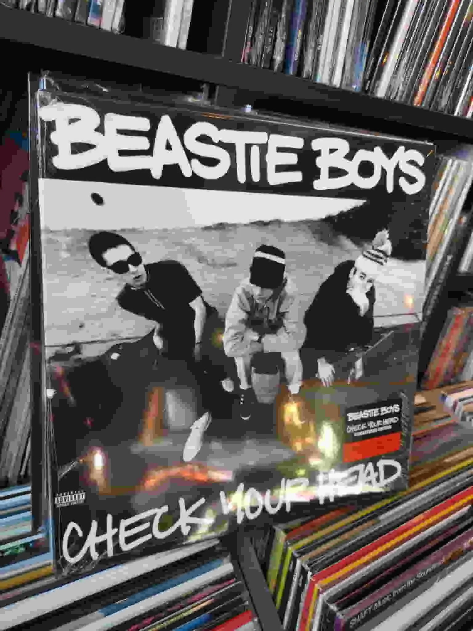 Beastie Boys-Check Your Head