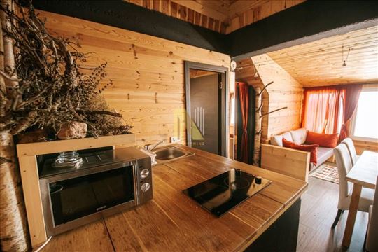 Kopaonik - odličan apartman u planinskom stilu sa