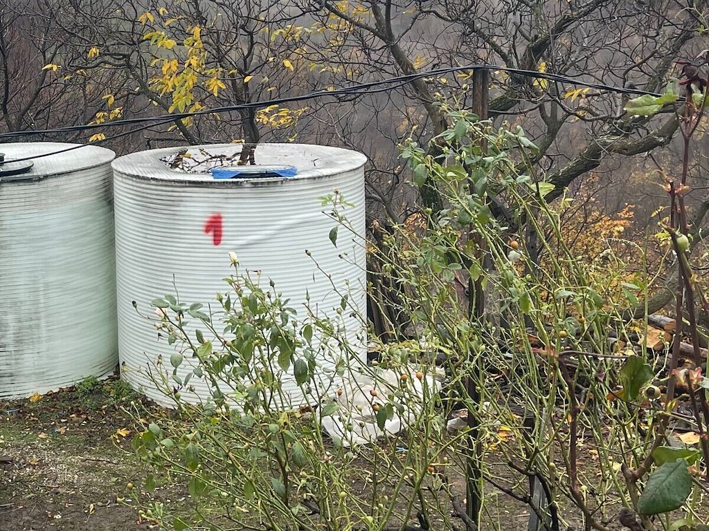 Domaći Šljivov destilat-meka rakija