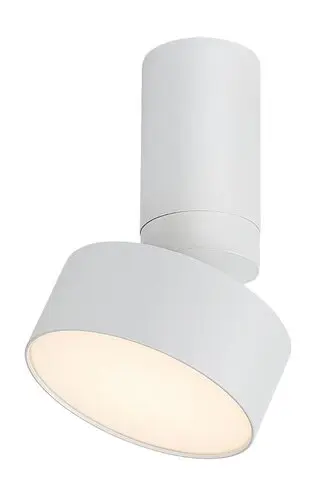 Rabalux Spot lampa Ovidia, Nadgradna, Podesiva, LED, 10W, 3000K, Bela