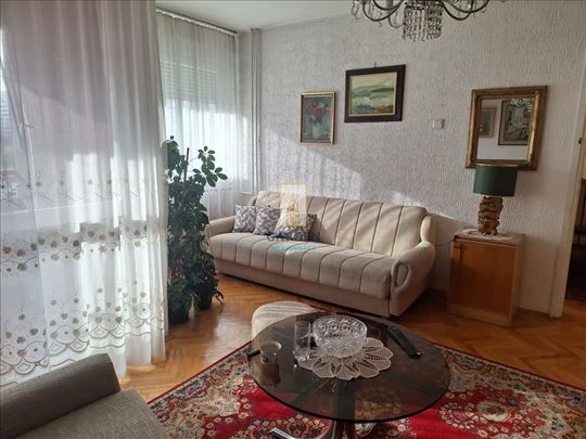 Mirijevo centar, pet friendly