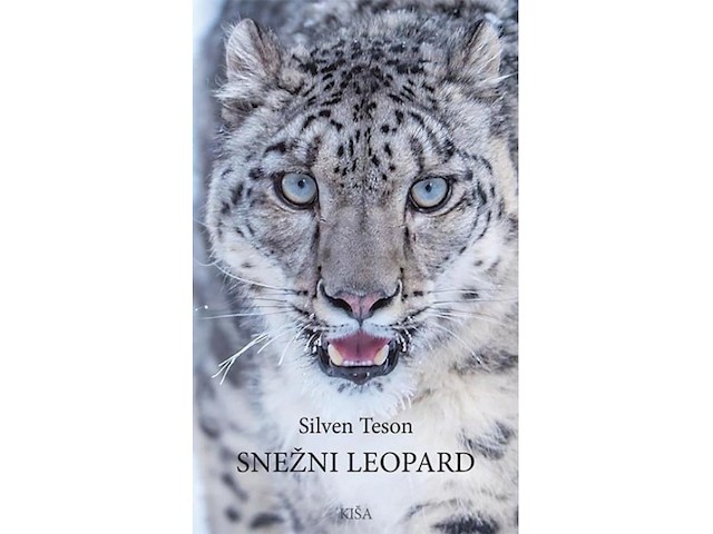 Snežni leopard