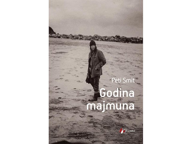Godina majmuna