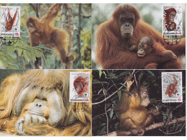 322. Indonezija, 1989, Fauna - Majmuni, CM