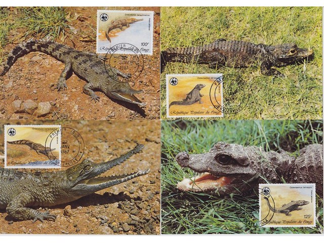 315. Kongo, 1987, Fauna - Krokodili, CM