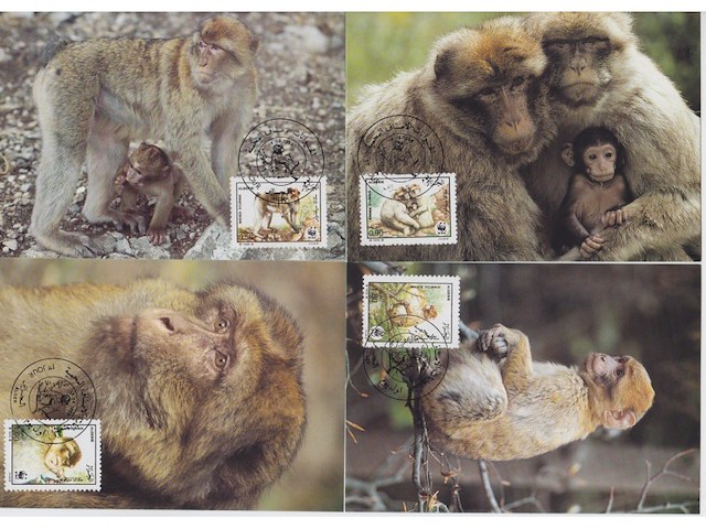 314. Alžir, 1988, Fauna - Majmuni, CM