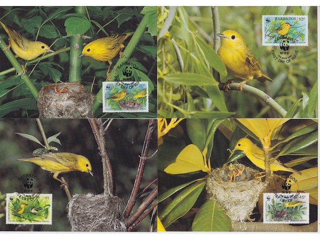 313. Barbados, 1991, Fauna - Ptice, CM