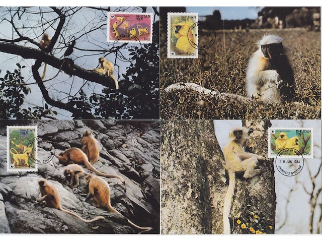 305. Butan, 1984, Fauna - Majmuni, CM