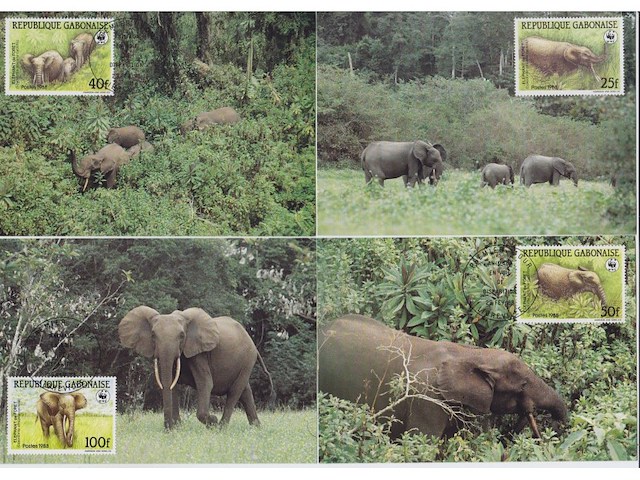 301. Gabon, 1988, Fauna - Slonovi, CM