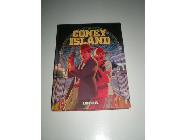 CONEY  ISLAND  *