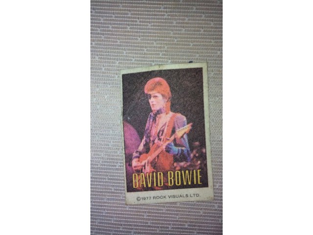 ZIVA SLICICA DAVID BOWIE