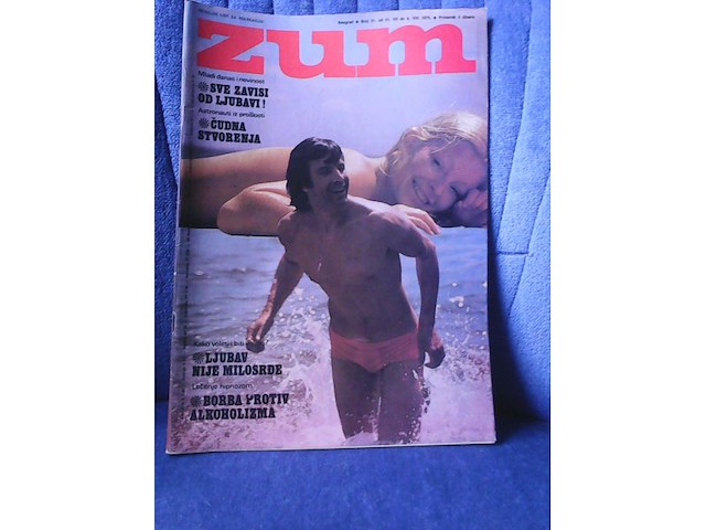 ZUM  BR 31/1975