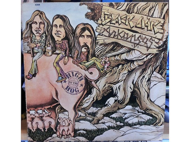 BLACK OAK ARKANSAS - HIGH ON THE HOT, LP, ALBUM